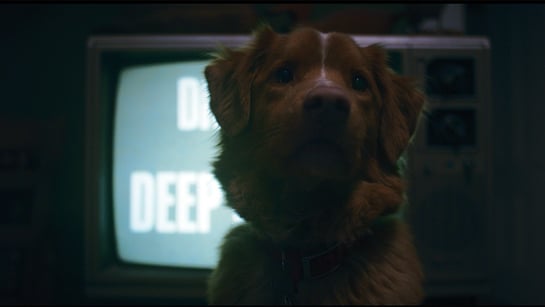"Good Boy": Nuevo tráiler y póster del último fenómeno viral del cine ...