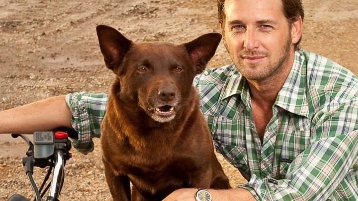 Red Dog, una historia de lealtad, ver ahora en Filmin