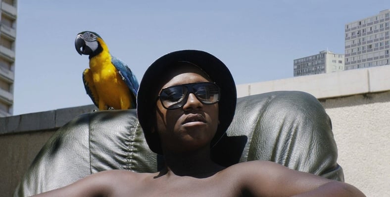 Chouf, ver ahora en Filmin