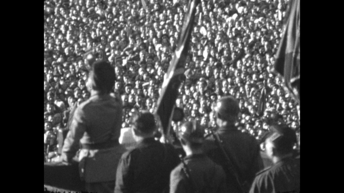 l’Amatore, ver ahora en Filmin