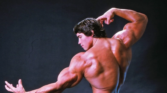 Matty ferrigno store
