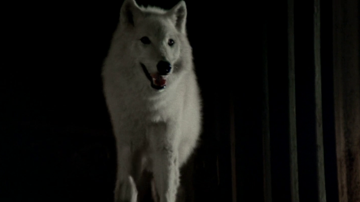 Lobos humanos, ver ahora en Filmin