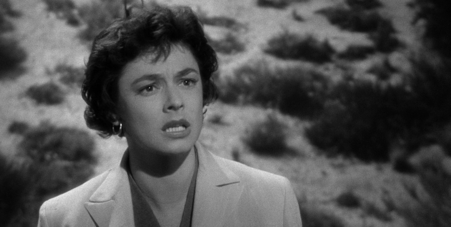 Red invisible, ver ahora en Filmin