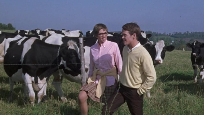 El Cuco Estéril, ver ahora en Filmin