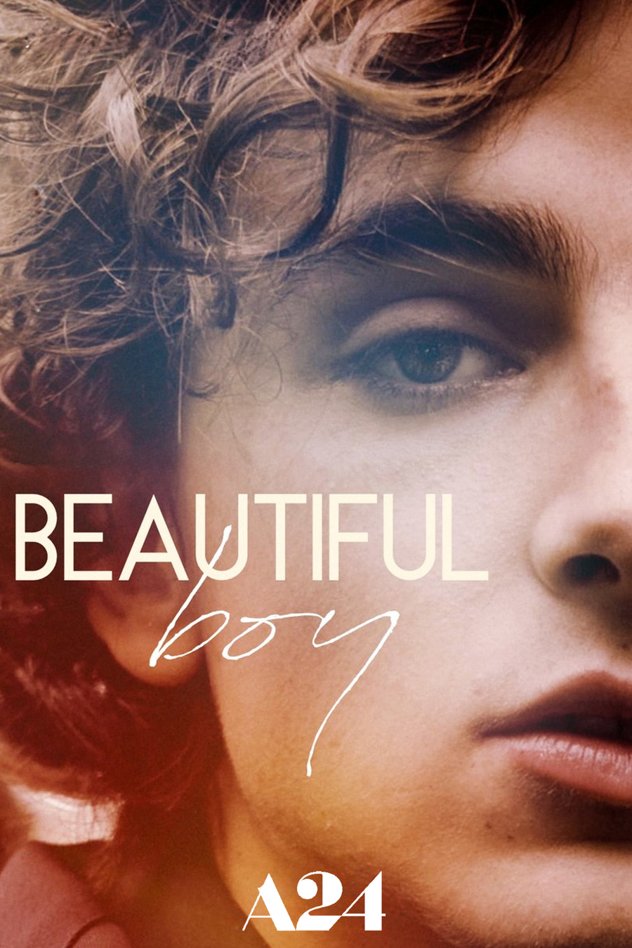 Beautiful Boy, ver ahora en Filmin