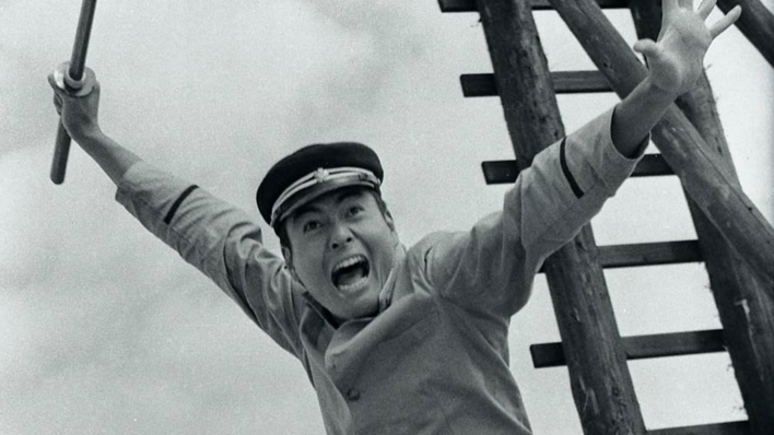 The Born Fighter, ver ahora en Filmin