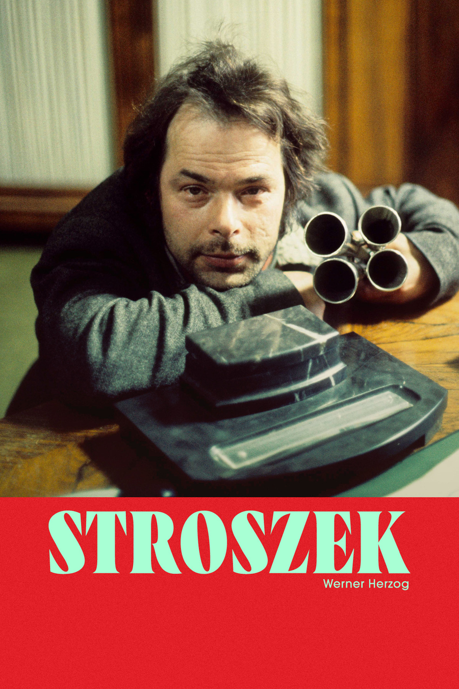 Stroszek, ver online en Filmin